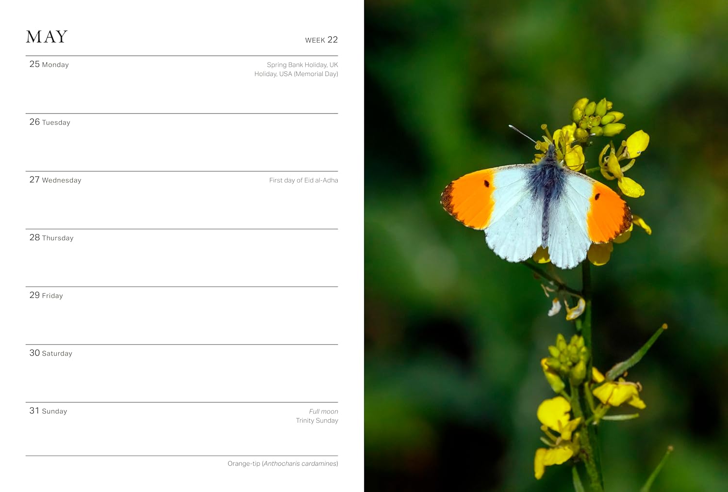 RHS Wild in the Garden Diary 2026