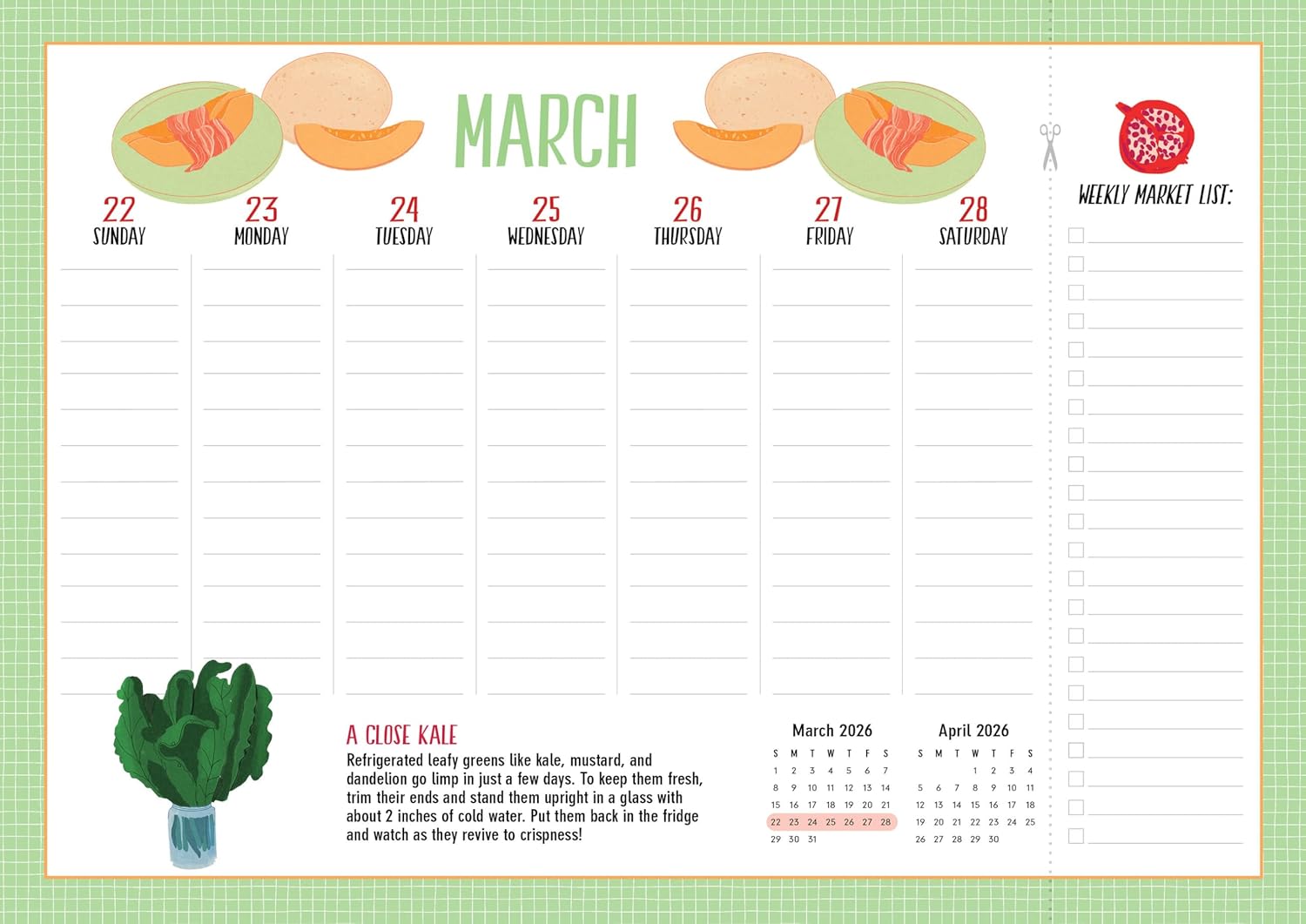 Kitchen Companion Page-A-Week Calendar 2026: It's Magnetic! Perfect for ...