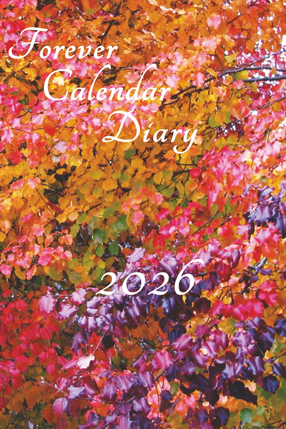 Forever Calendar Diary 2026
